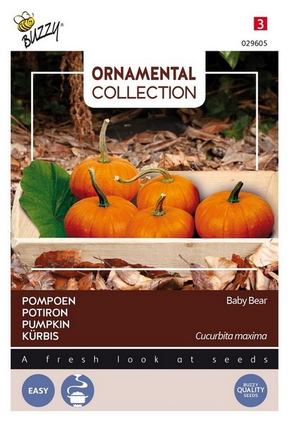 Buzzy® Ornamental Wintersquash Baby Bear - Tuindorado